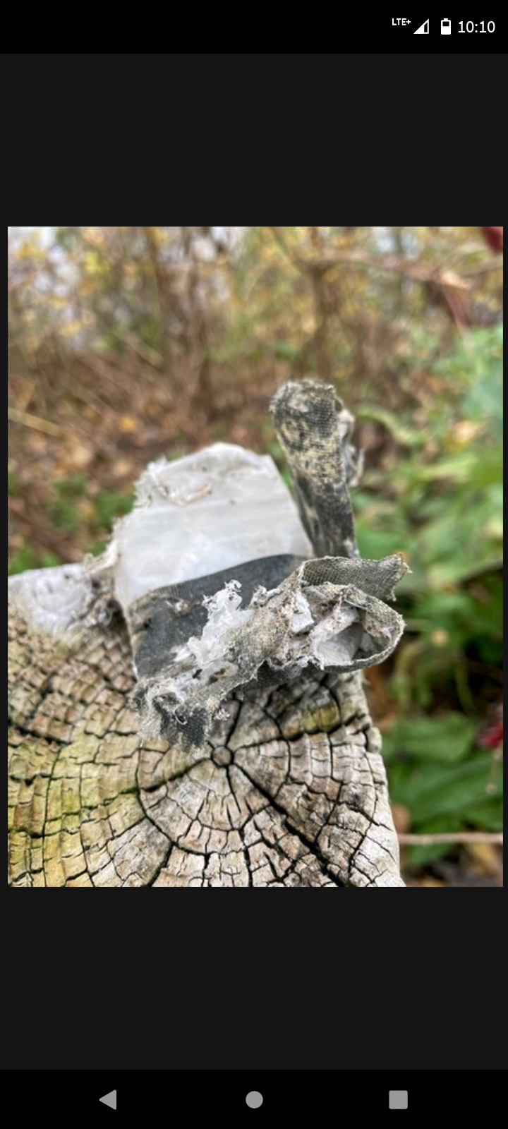 Should I remove a damaged cache with an inactive CO? - General ...